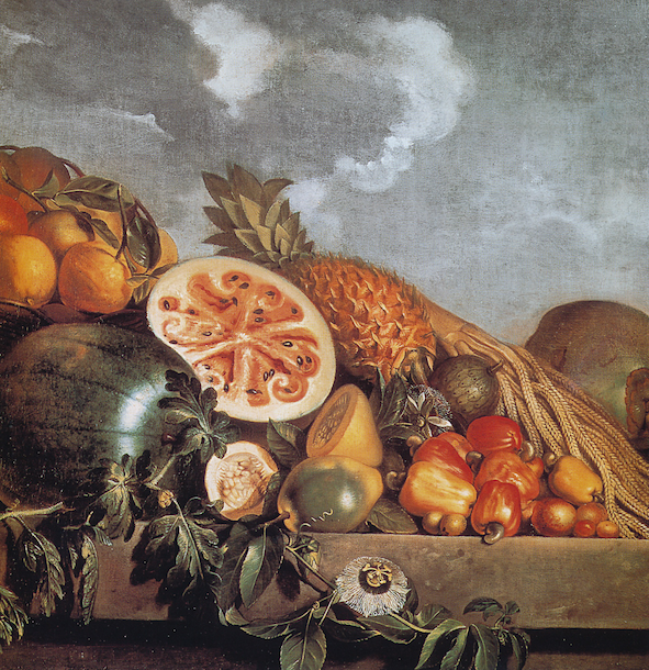 Albert Eckhout - Uit de Kunst