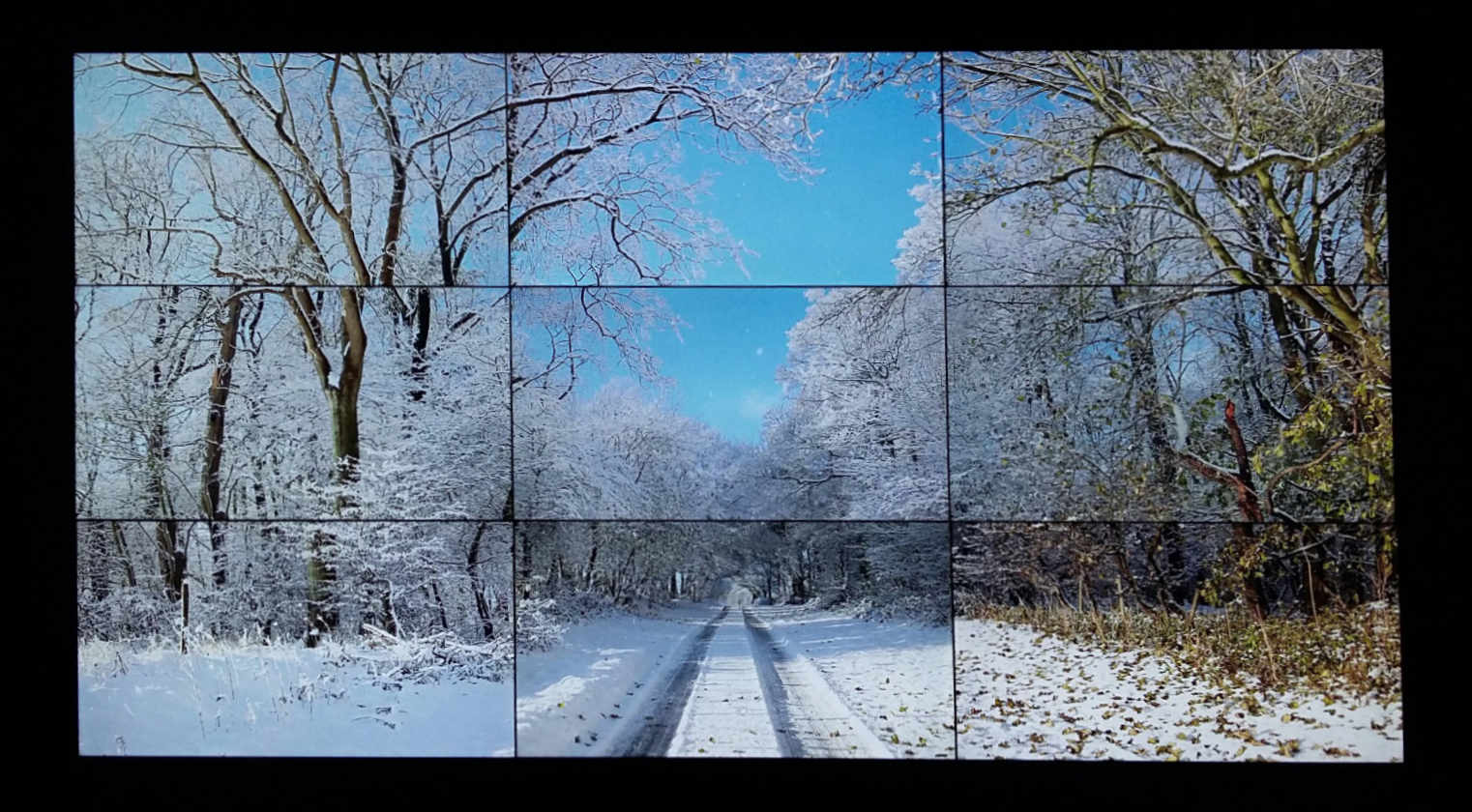 David Hockney - Uit de Kunst